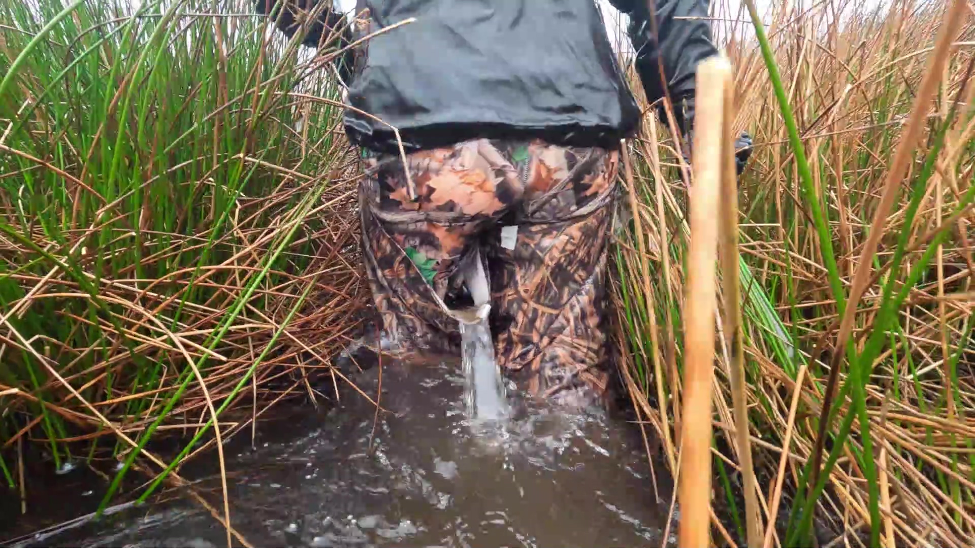 Video 99 - Head in the clouds | Wet and Muddy