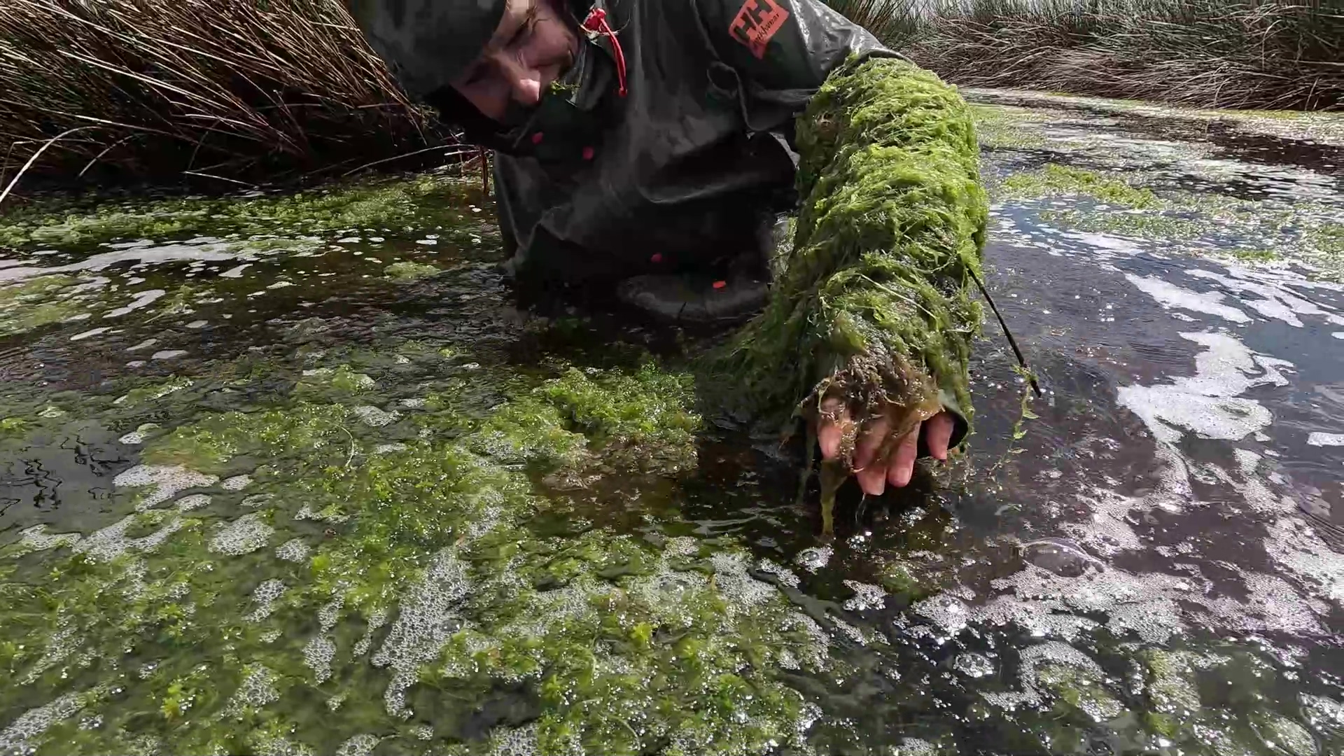 Video 105 - Hippobottomus | Wet and Muddy