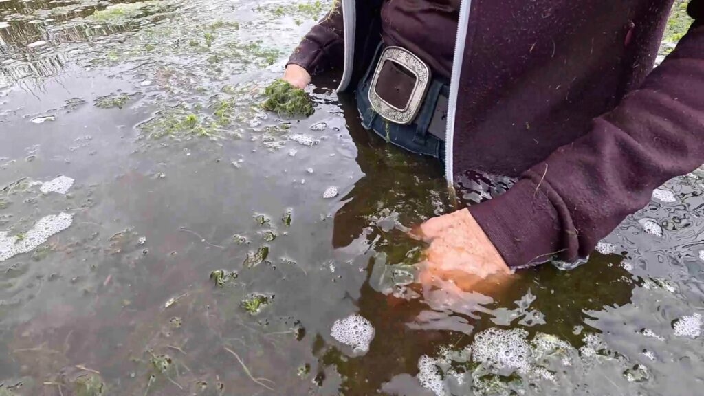 Video 105 - Hippobottomus | Wet and Muddy