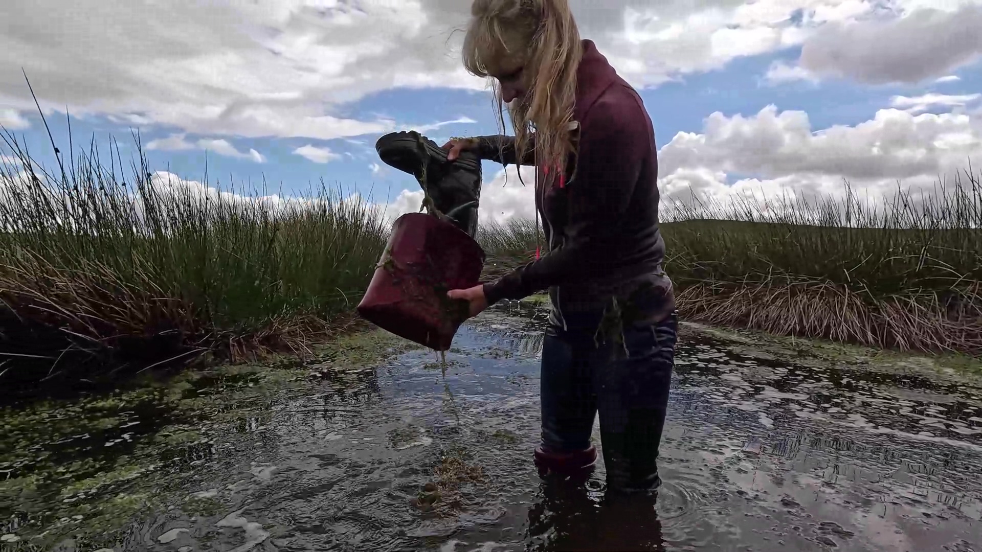 Video 105 - Hippobottomus | Wet and Muddy