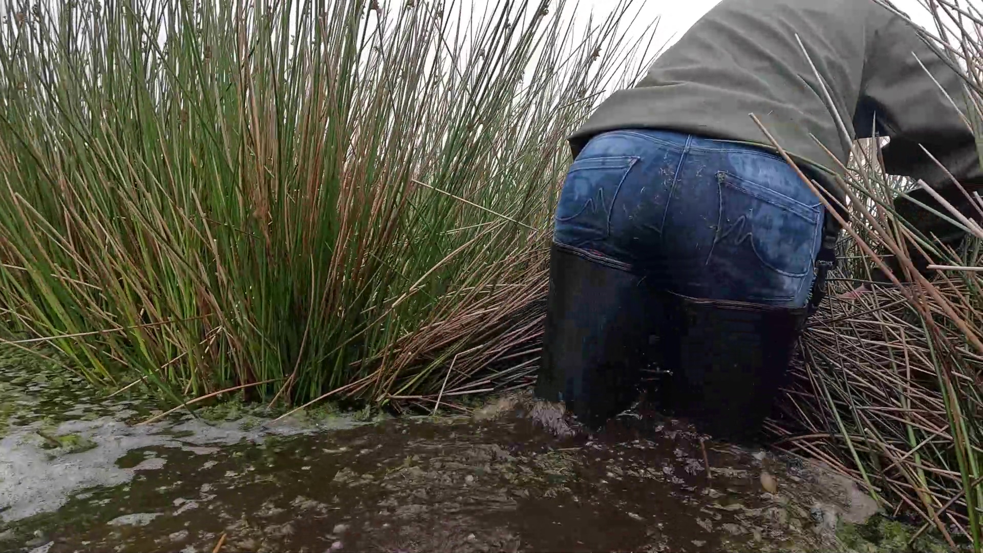 Video 105 - Hippobottomus | Wet and Muddy